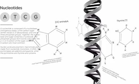 A Brief Introduction to Genetics - The Documentary Network