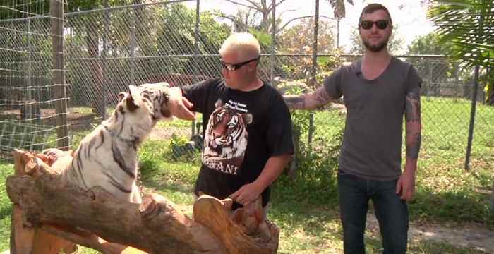 The Last Real Circus Family in America? - The Documentary Network