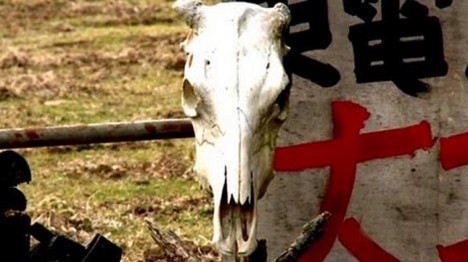 The Weight of the Nation - Part 1: Consequences (HBO Series) - The ...