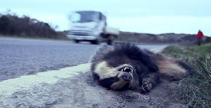The Man Who Eats Roadkill - The Documentary Network