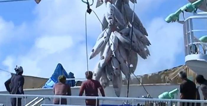 Tuna Wars - The Documentary Network